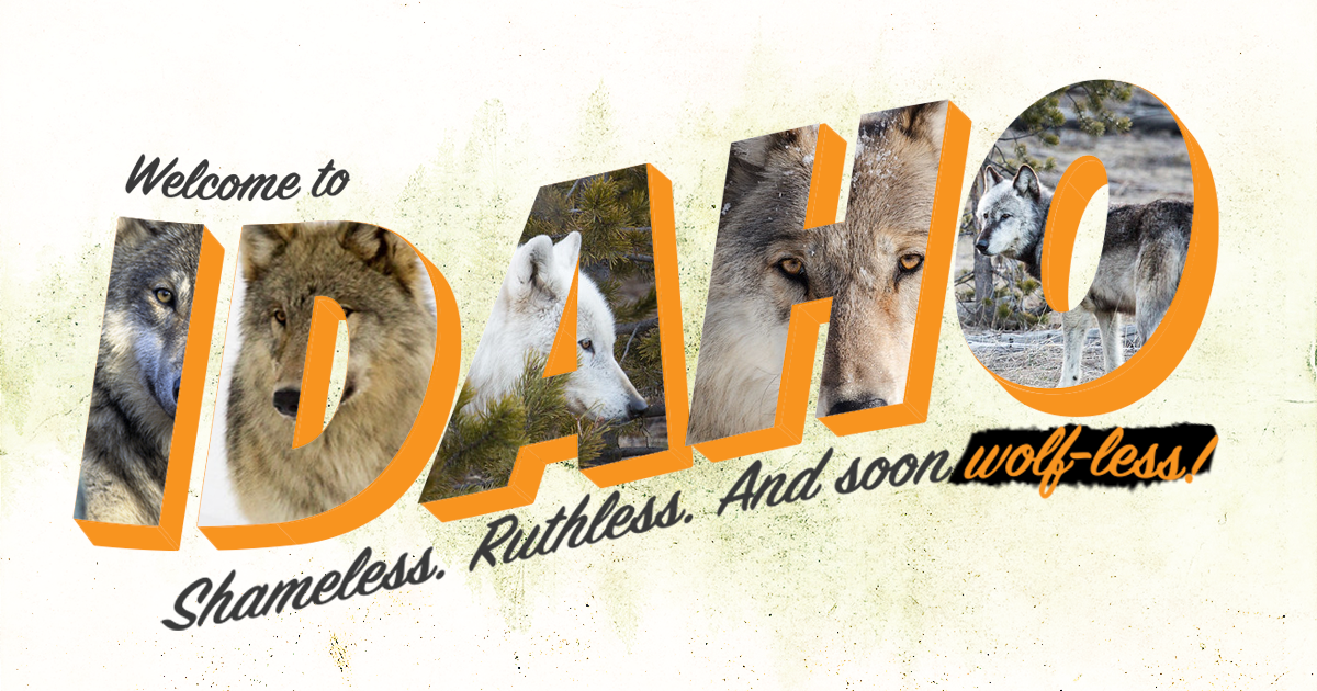 Idaho - Save Our Wolves